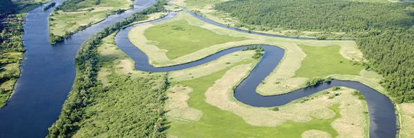 SGS Analytics United Kingdom Limited | SGS