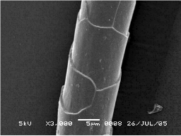 Cashmere Identification and Testing | SGS UK